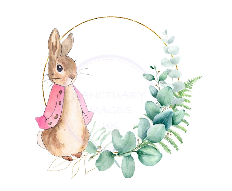 Peter Rabbit Flopsy Bunny PNG Animal Sublimation Design - Etsy