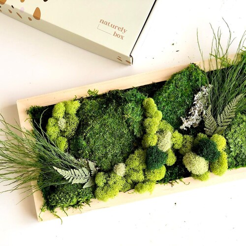 DIY Rectangular Moss Art Kit Large Moss Art Vertical Moss - Etsy