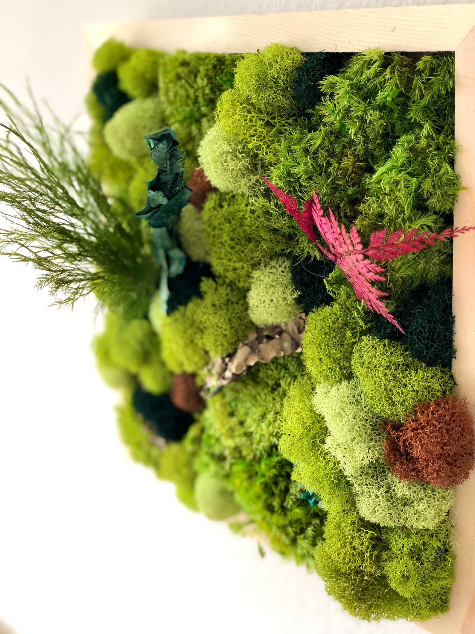 DIY Moss Art Kit Holiday Gift Christmas Gift DIY Moss Art - Etsy