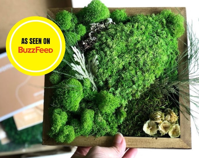DIY Moss Wall Art Kit, Holiday Gift, Gift for Her Him, Make Your Own ...