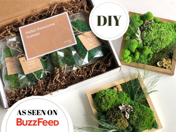 DIY Moss Art Kit 2 Piece Moss Wall Art Birthday Gift DIY - Etsy
