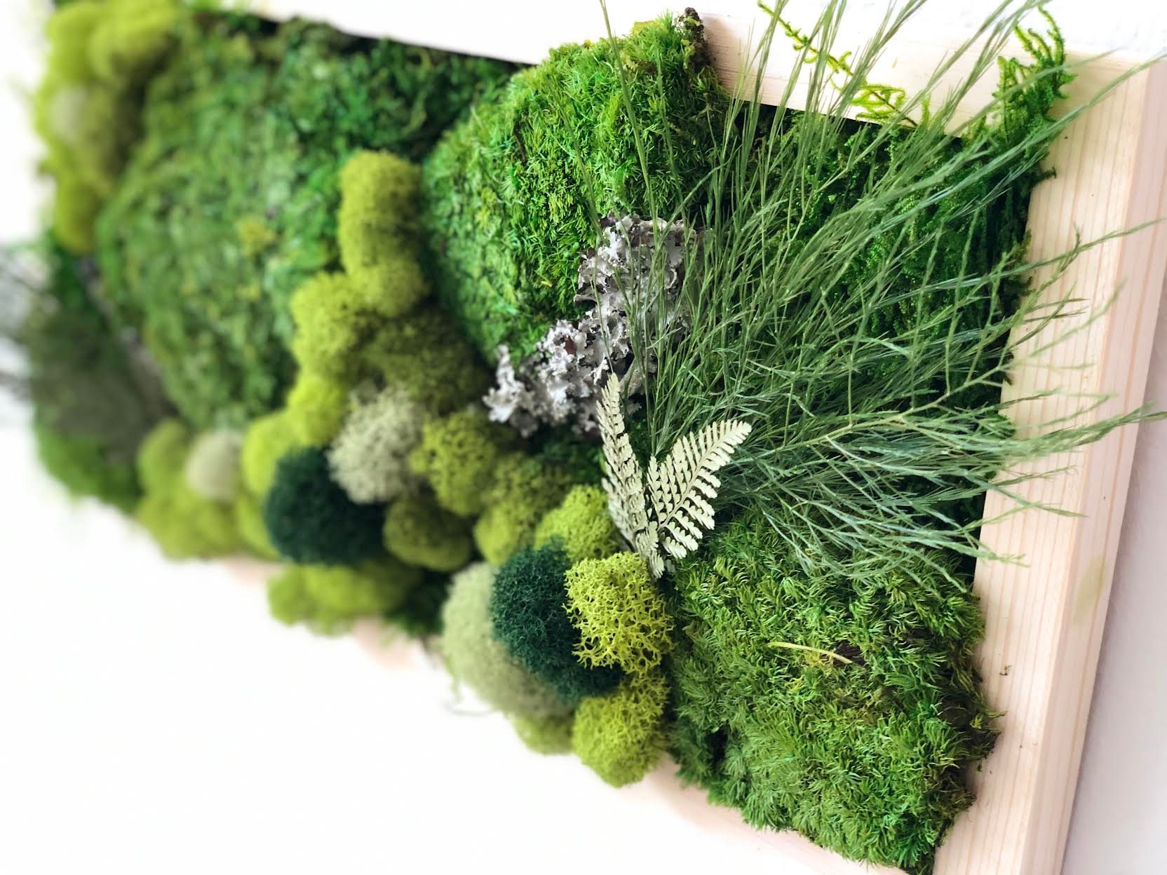 DIY Rectangular Moss Art Kit Large Moss Art Vertical Moss - Etsy
