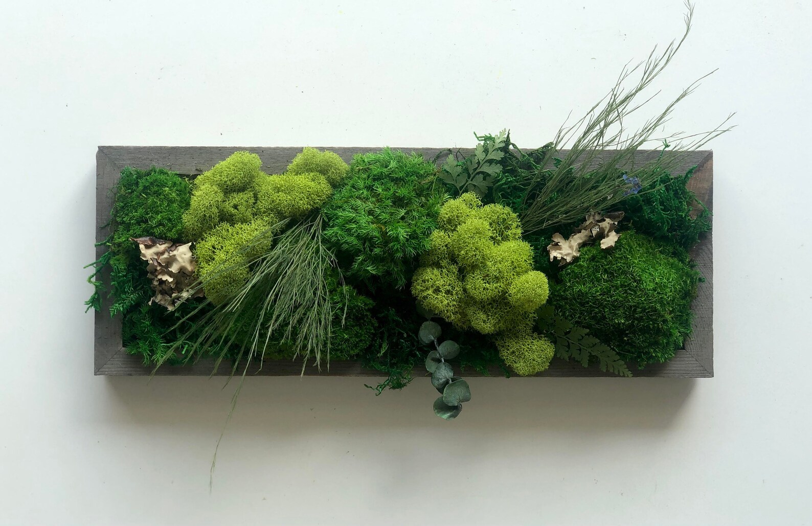 DIY Rectangular Moss Art Kit Large Moss Art Vertical Moss - Etsy