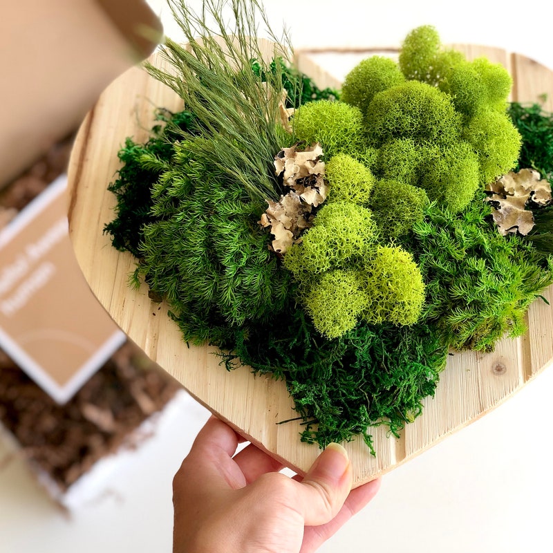 Moss Frame - Etsy