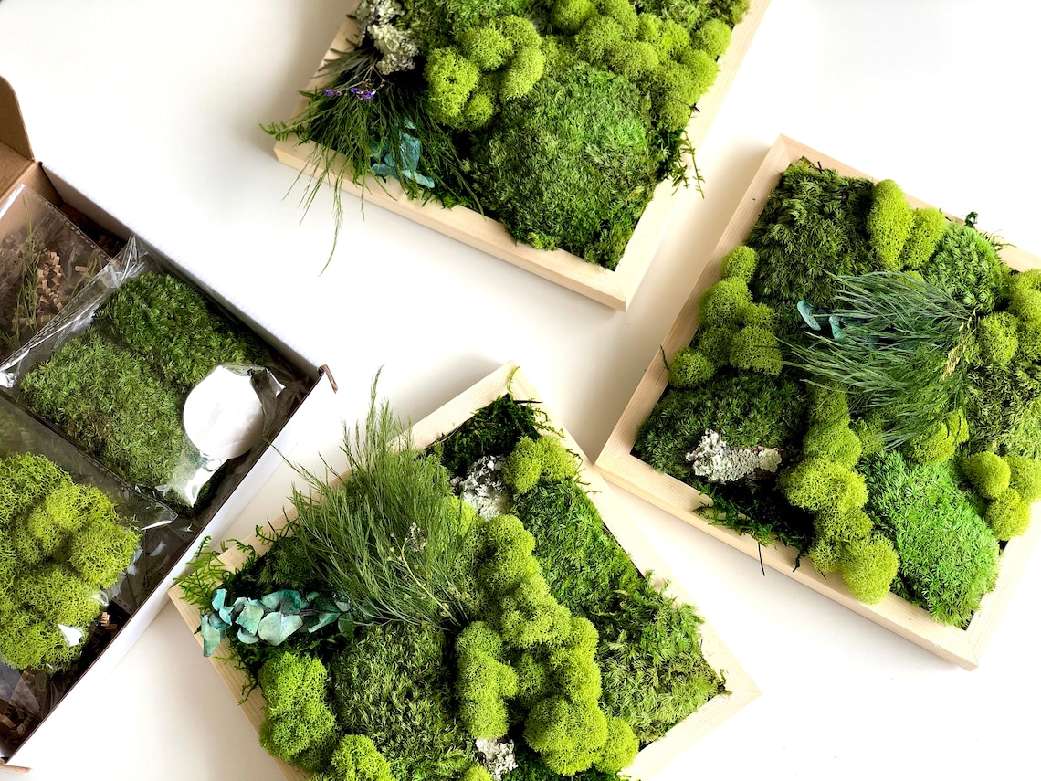 DIY Moss Art Kit Multi Panel Canvas Moss Wall Art DIY Craft - Etsy