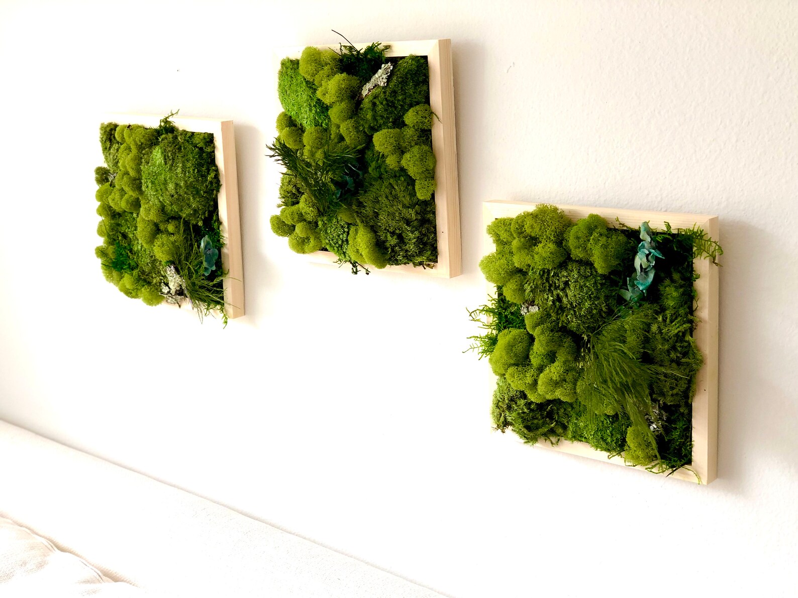 DIY Moss Art Kit Multi Panel Canvas Moss Wall Art DIY Craft - Etsy