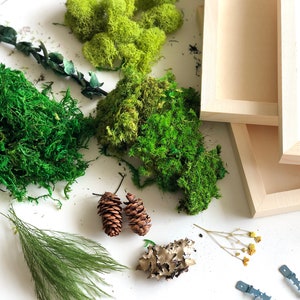 DIY Moss Art Kit Multi Panel Canvas Moss Wall Art DIY Craft - Etsy