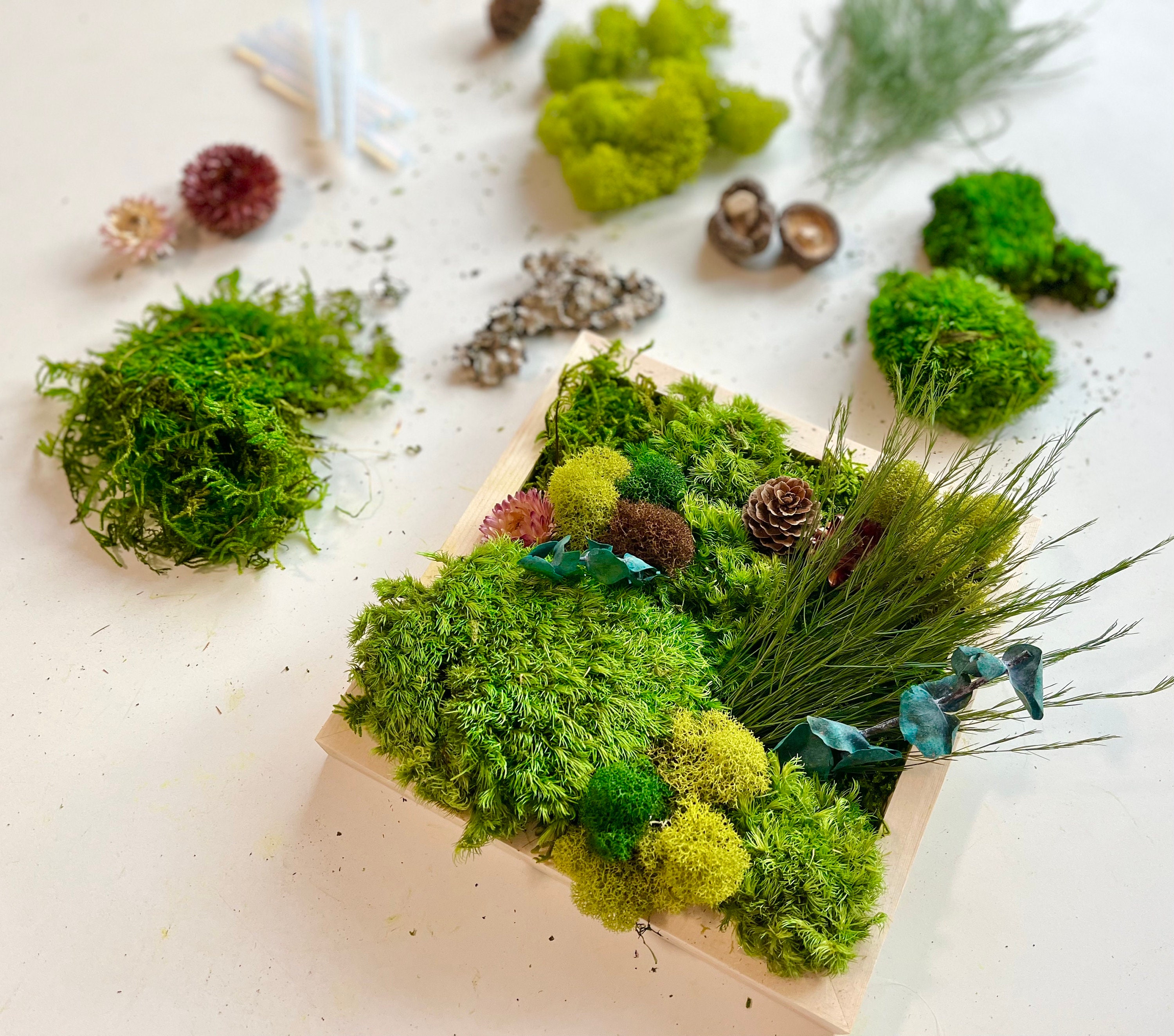DIY Moss Art Kit 2 Piece Moss Wall Art Birthday Gift DIY - Etsy