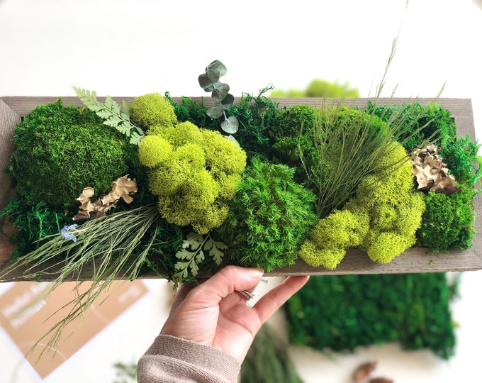 DIY Moss Wall Art Kit, Rectangle Frame, Moss Art, Greenery, Boho, Eco ...