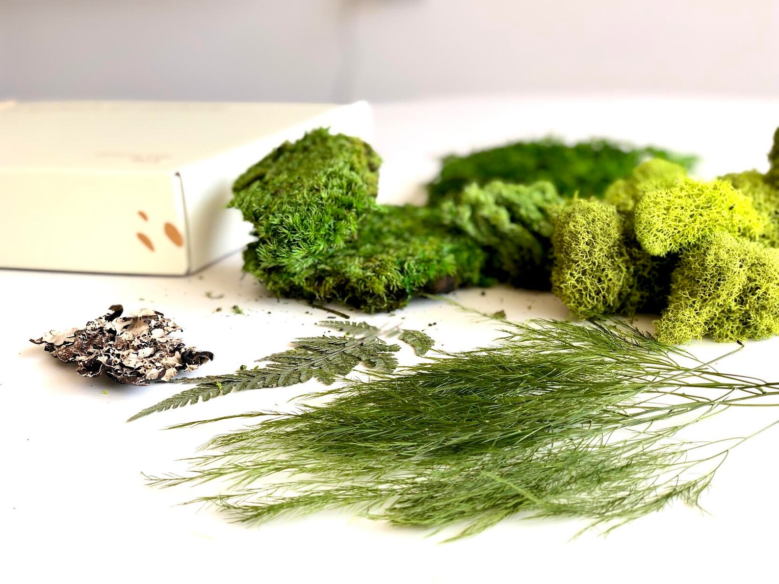 DIY Rectangular Moss Art Kit Large Moss Art Vertical Moss - Etsy