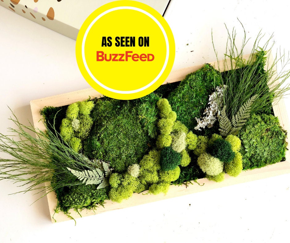 DIY Rectangular Moss Art Kit Large Moss Art Vertical Moss - Etsy