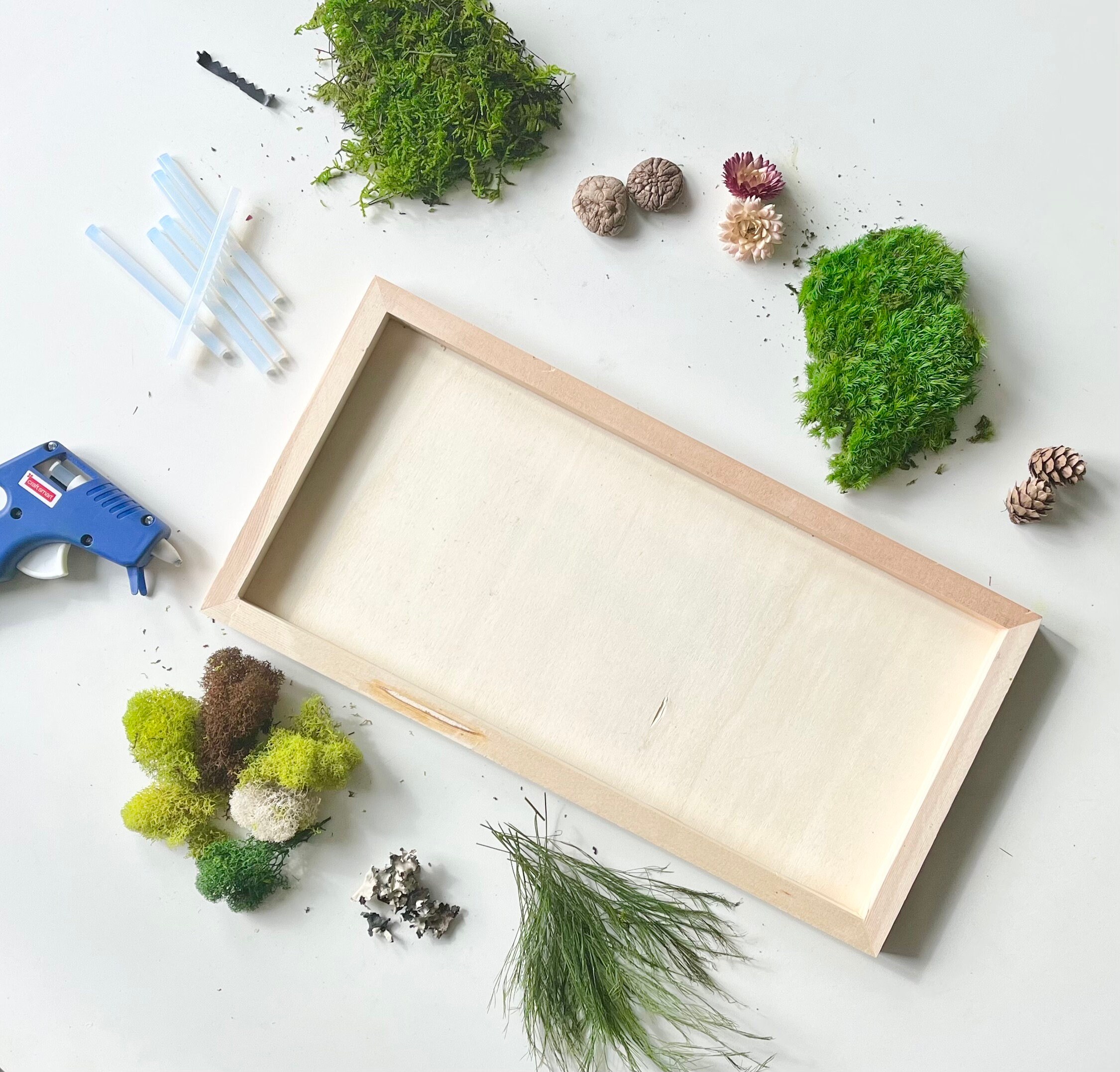 DIY Rectangular Moss Art Kit Large Moss Art Vertical Moss - Etsy