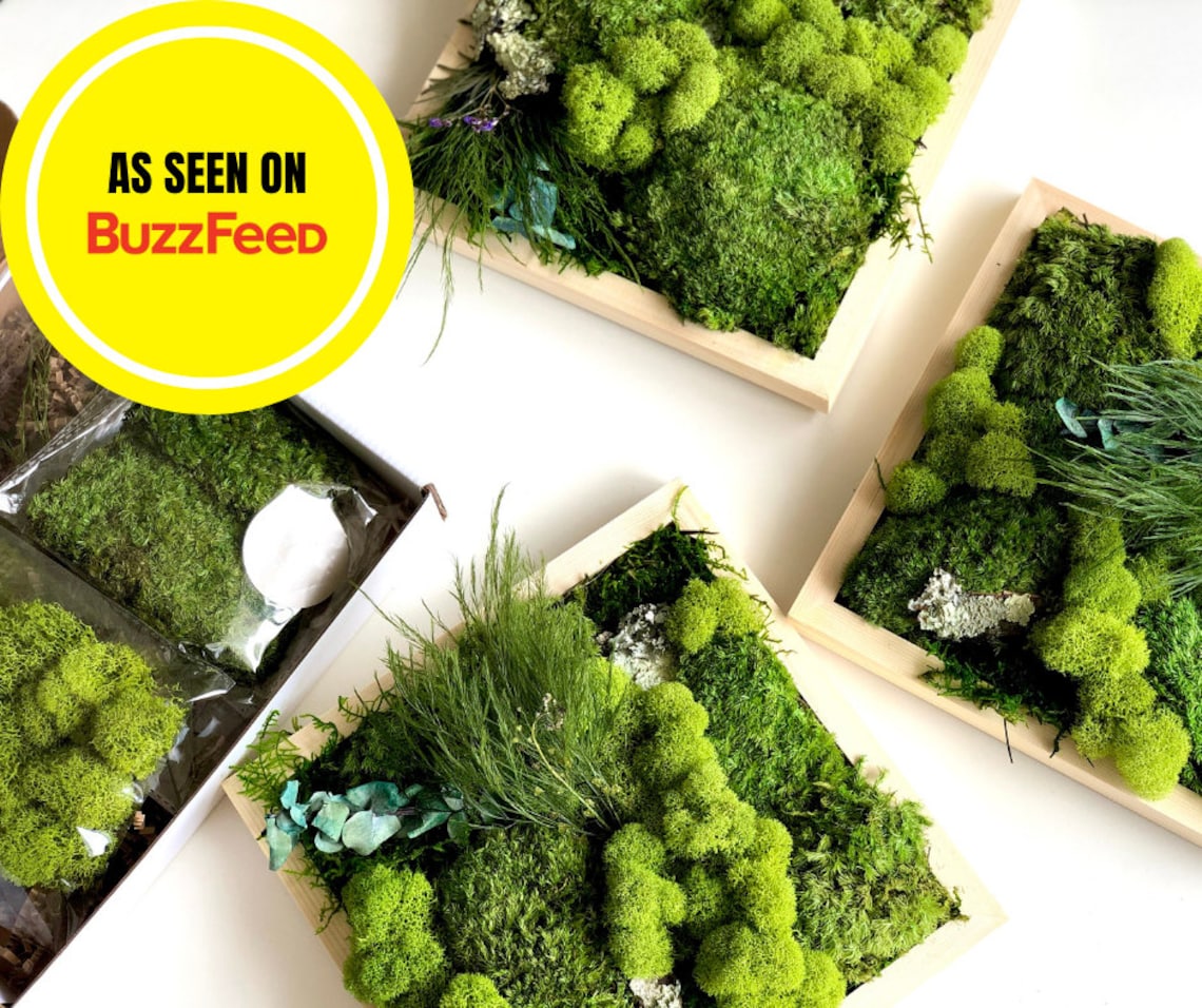 DIY Moss Art Kit Multi Panel Canvas Moss Wall Art DIY Craft - Etsy