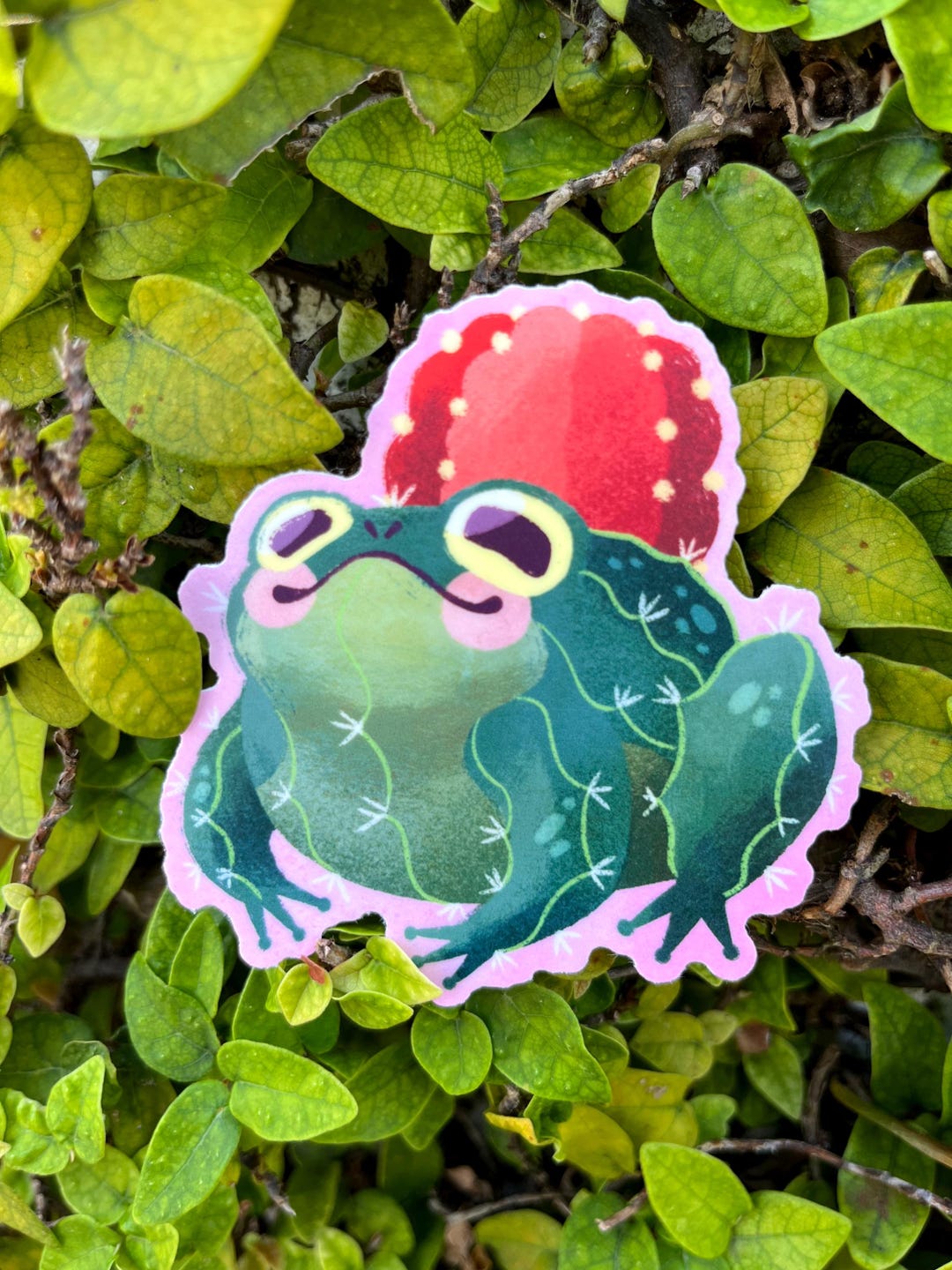 Cactus Frog Sticker | Cuet Cactus Succulent Frog Sticker | Matte Vinyl ...