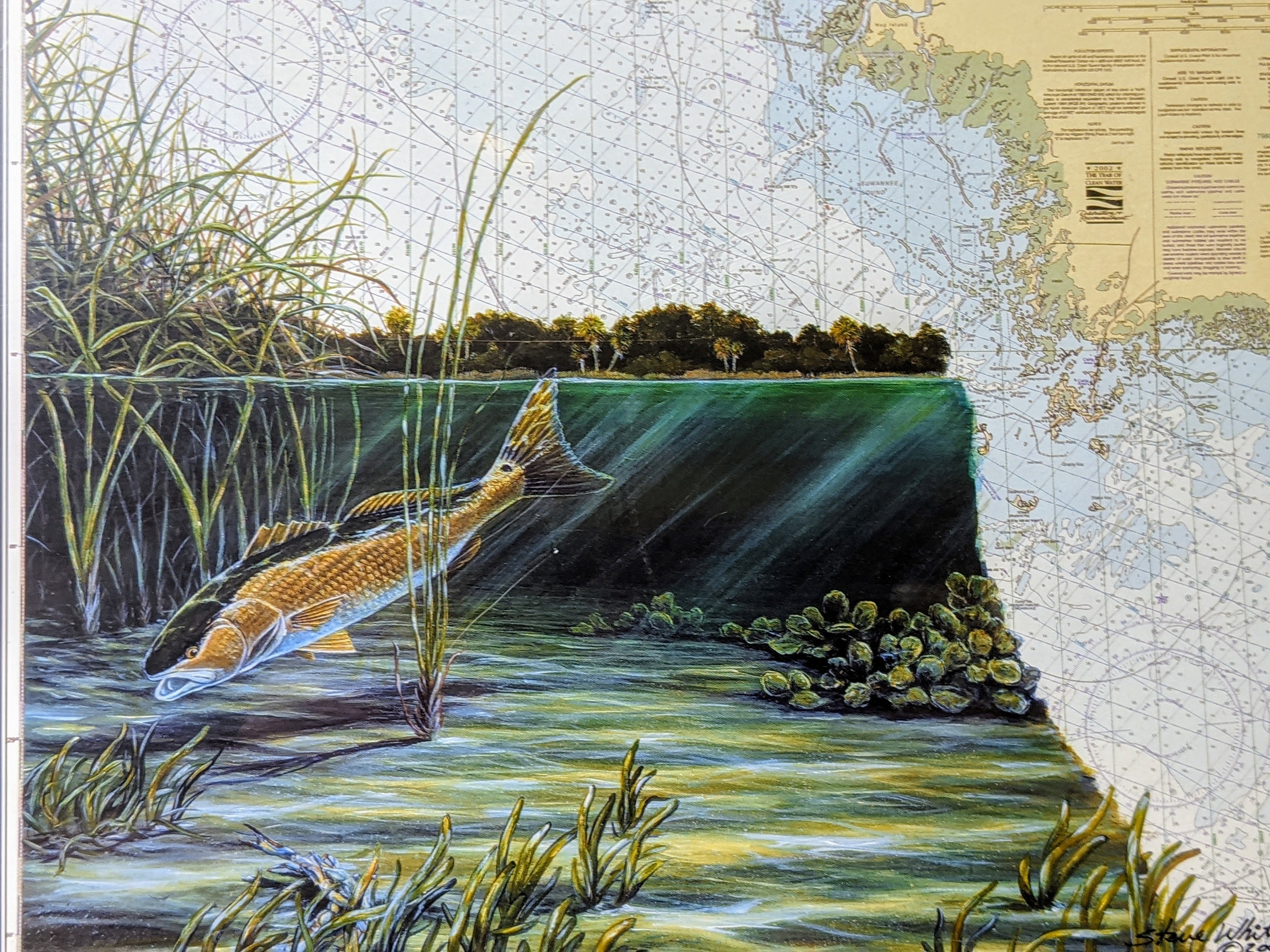 Steve Whitlock Signed Fishing Map crystal River to - Etsy