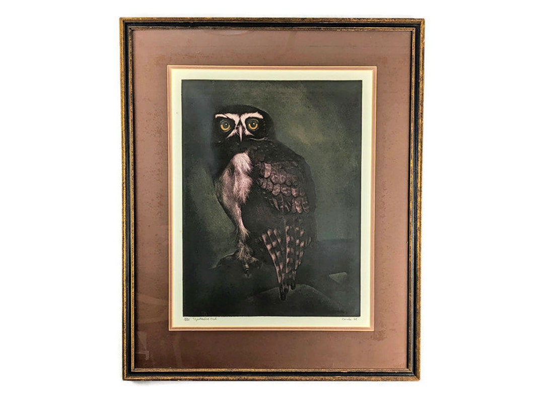 Mid Century Limited Edition Lithograph "spectacled Owl" Signed by ...