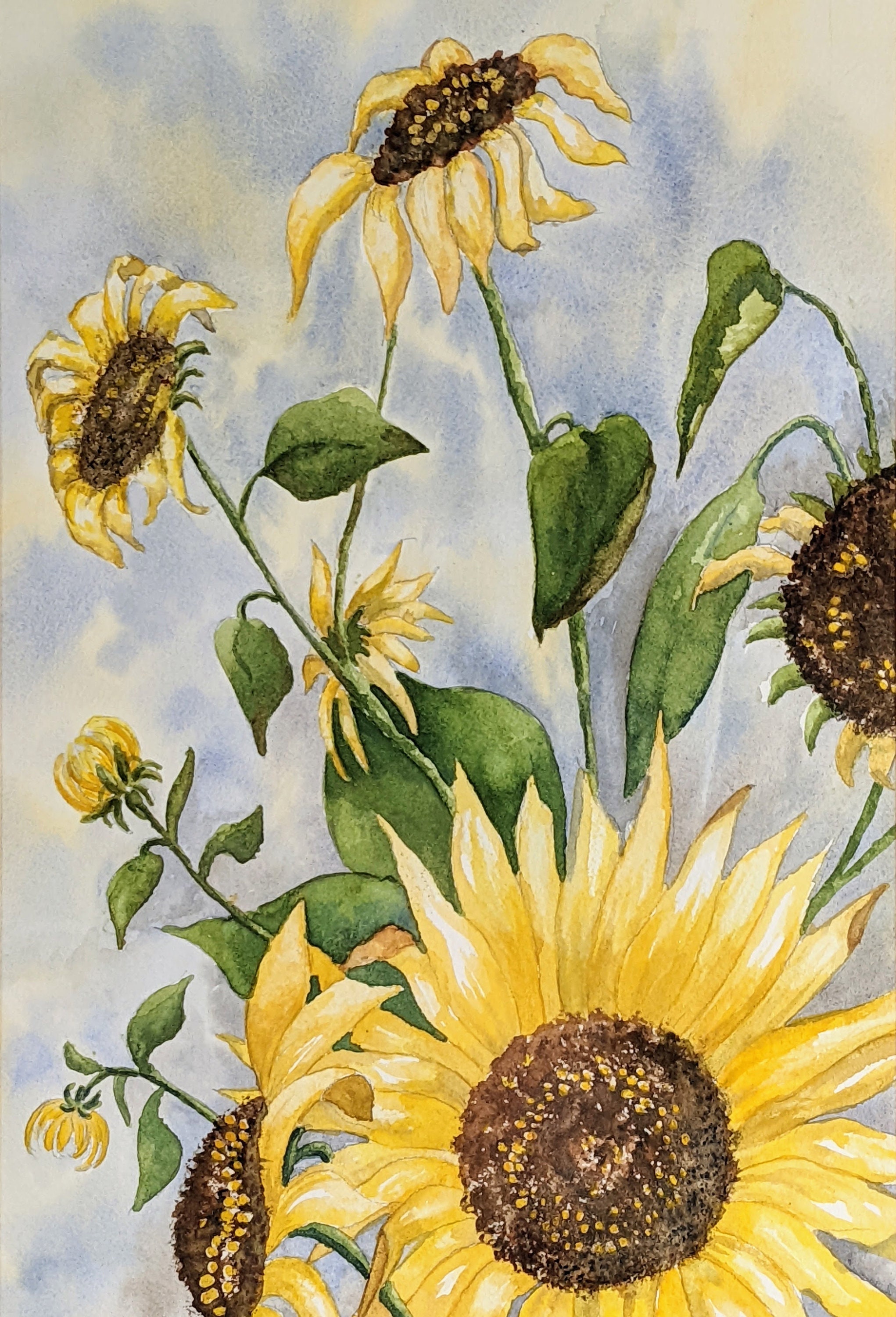Constance Adams Framed Watercolor Painting of Sunflowers - Etsy