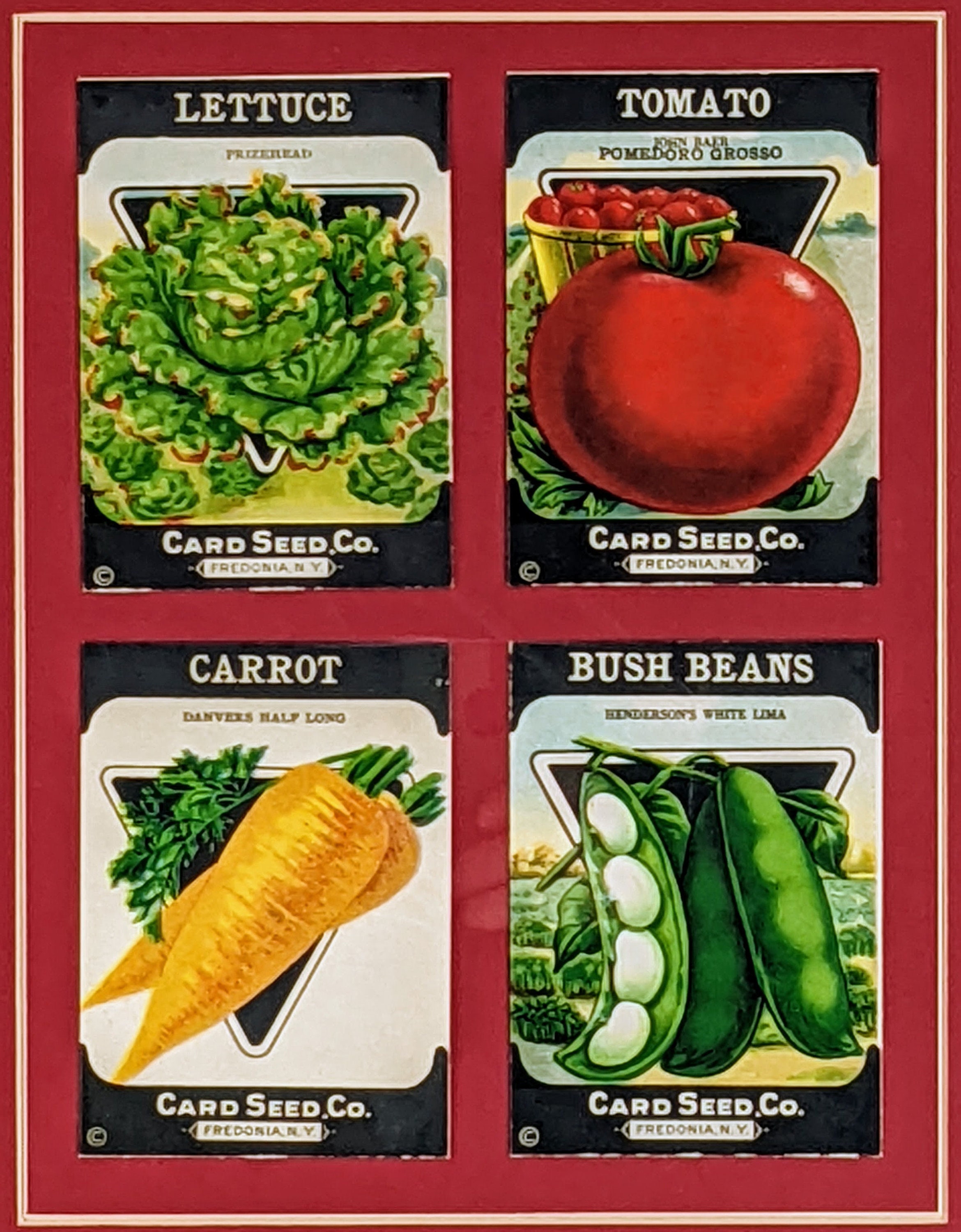 Vintage Card Seed Co Vegetable Cards in Frame Fredonia, NY - Etsy