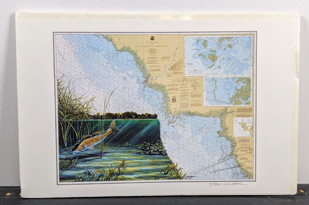 Steve Whitlock Signed Fishing Map "crystal River to Horseshoe Pt" - Etsy
