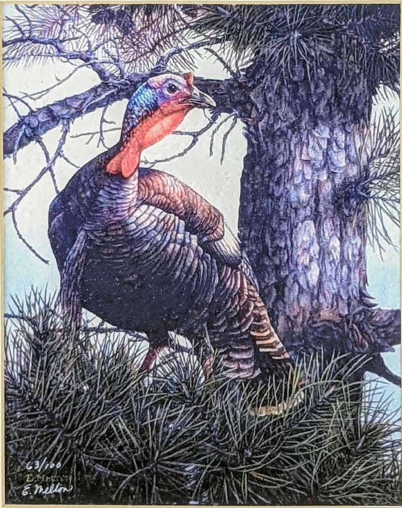 Eileen Melton Limited Edition Framed Lithograph wary Gobbler 63/100 ...