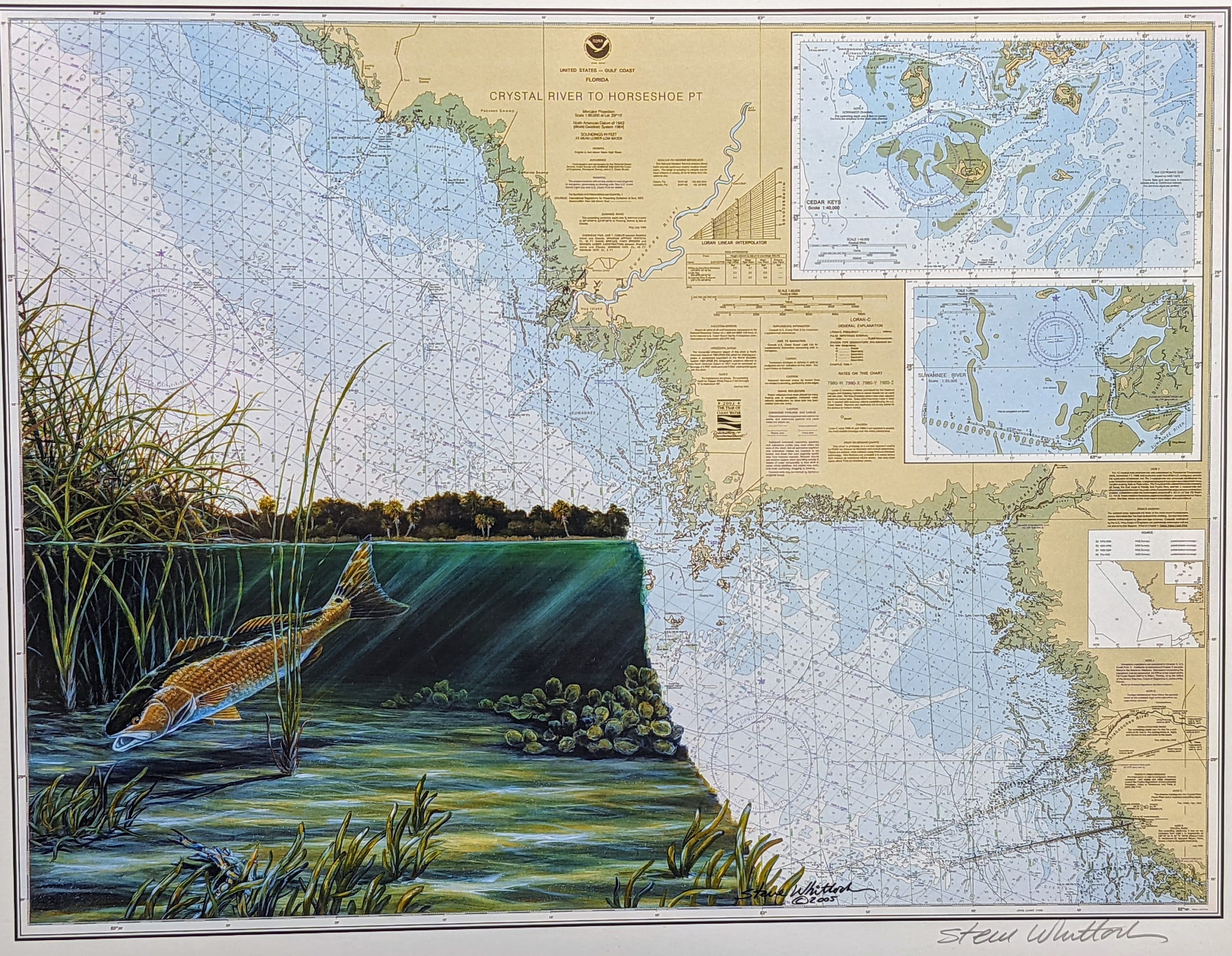 Steve Whitlock Signed Fishing Map crystal River to - Etsy