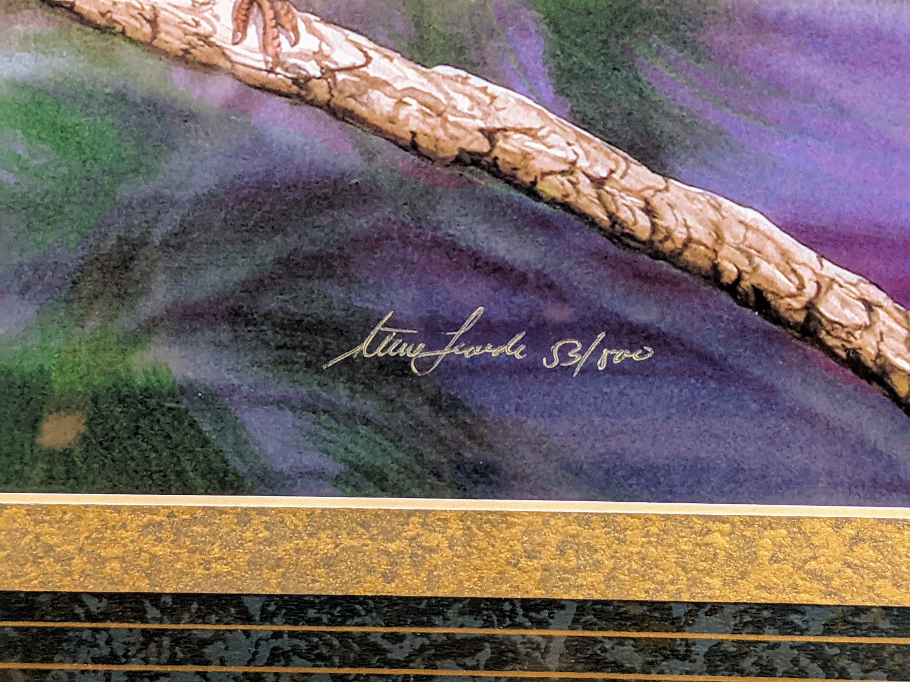 Steve Leonardi Limited Edition Framed Lithograph of Cardinals 53/500 - Etsy