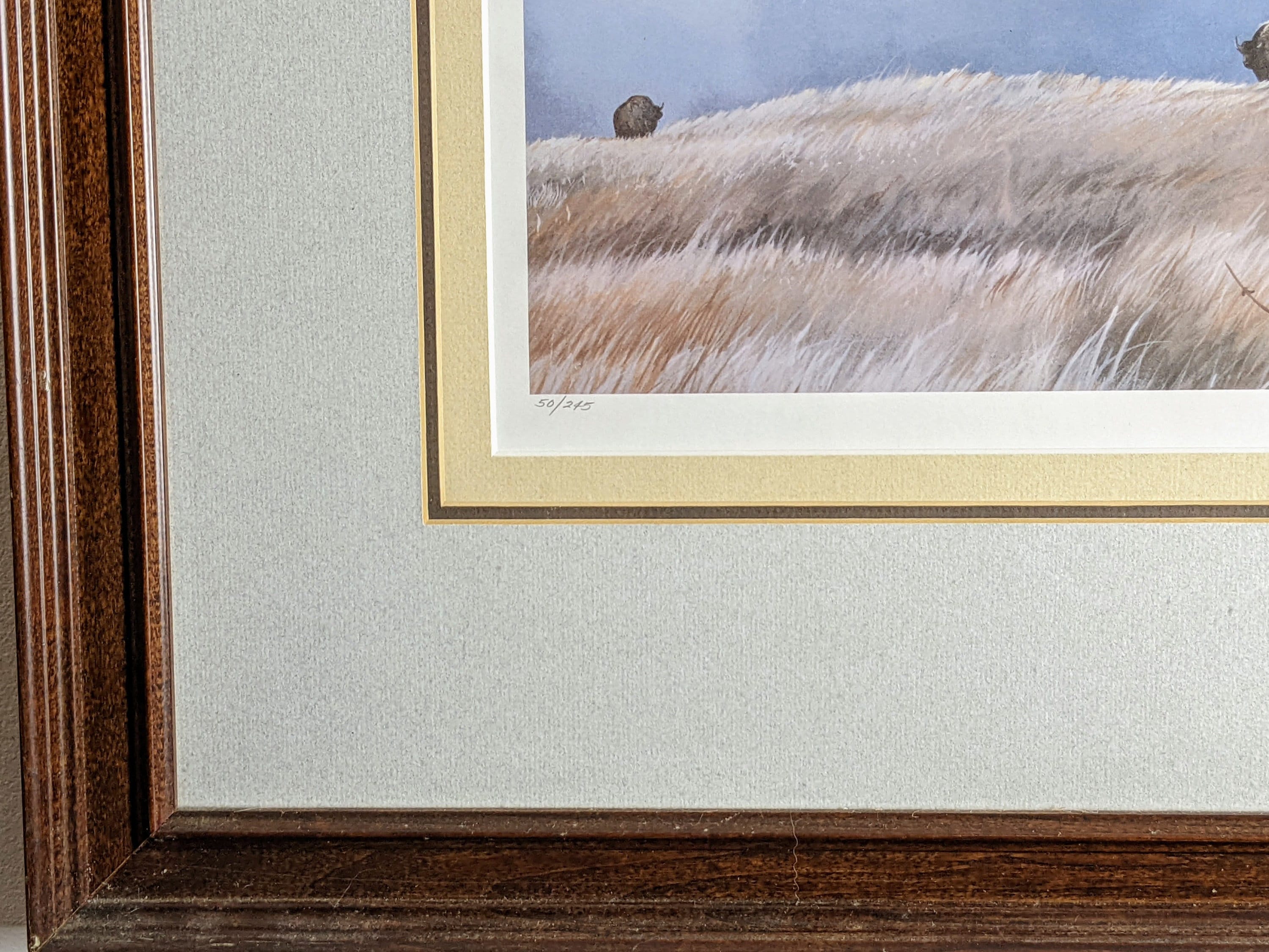 Mario Fernandez Limited Edition Bald Eagle Framed Lithograph Signed ...