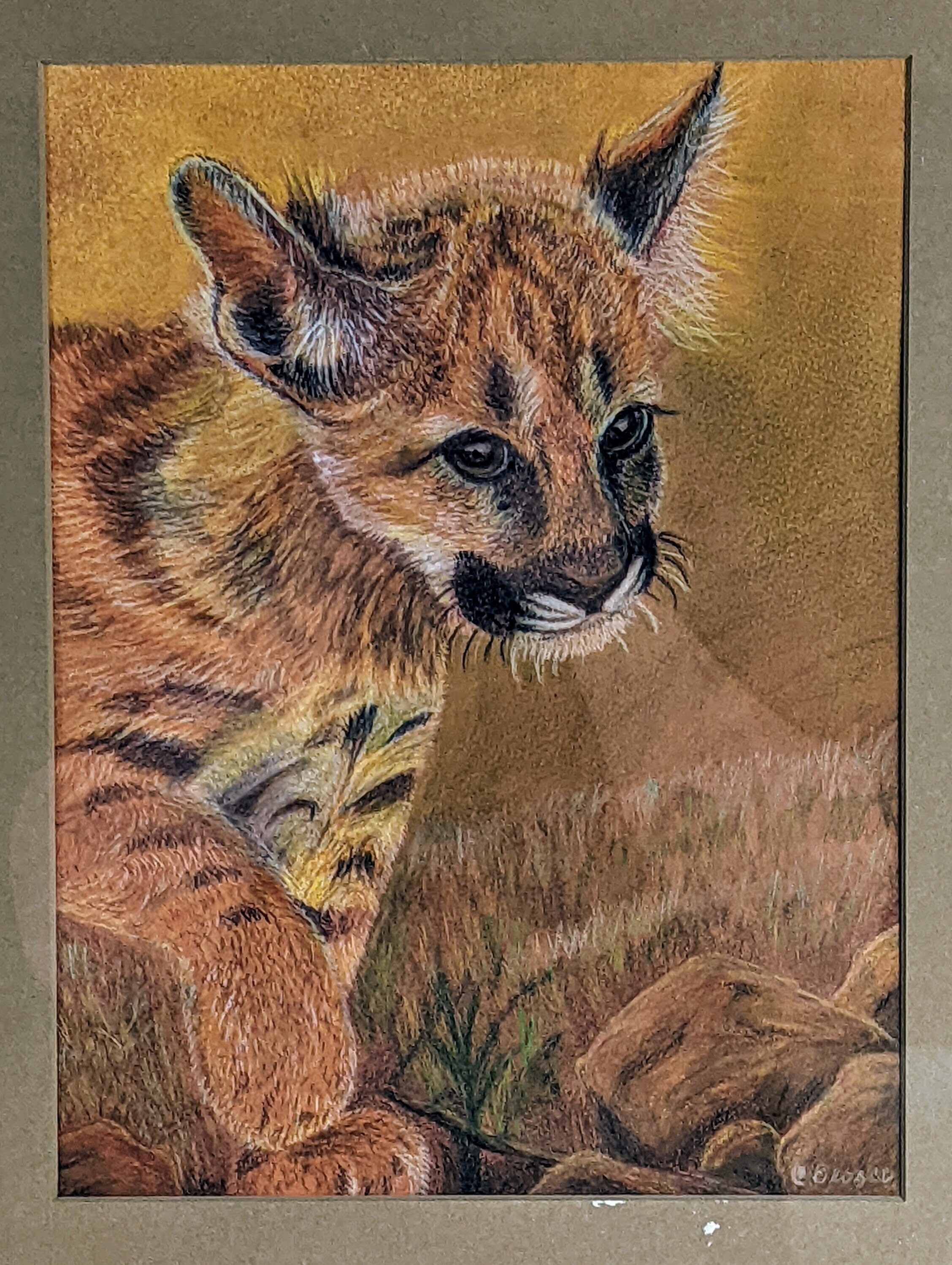 C. Orozco Tiger Cub Chalk & Pencil Drawing - Etsy