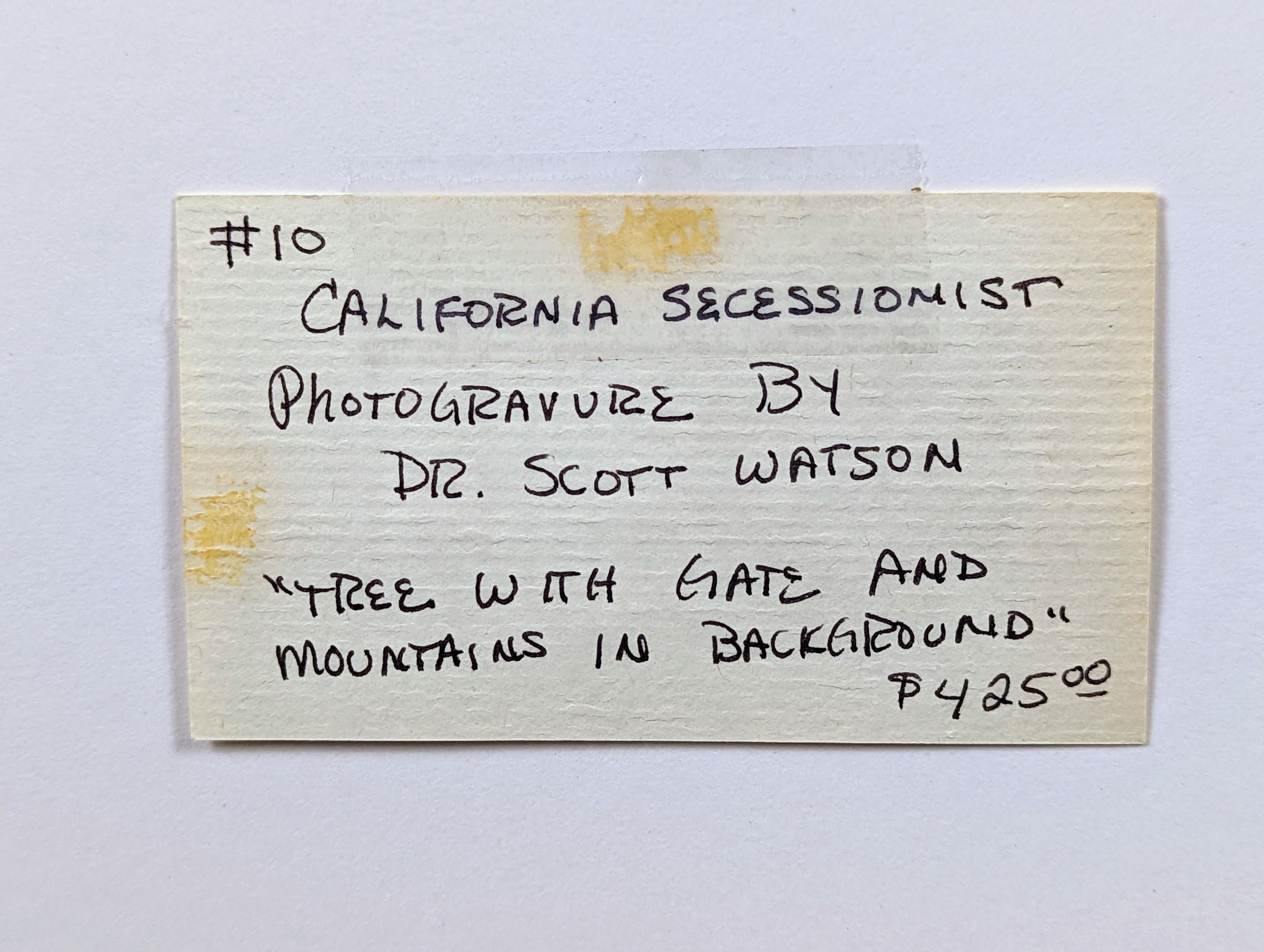 Dr. Scott Watson Original Photogravure - Etsy