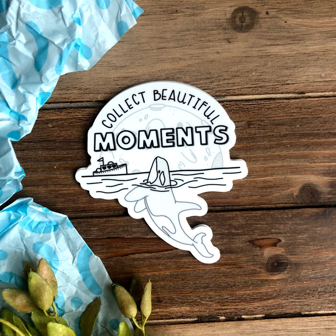 Orca Whale Sticker, Inspirational Quote Vinyl Decal - Etsy