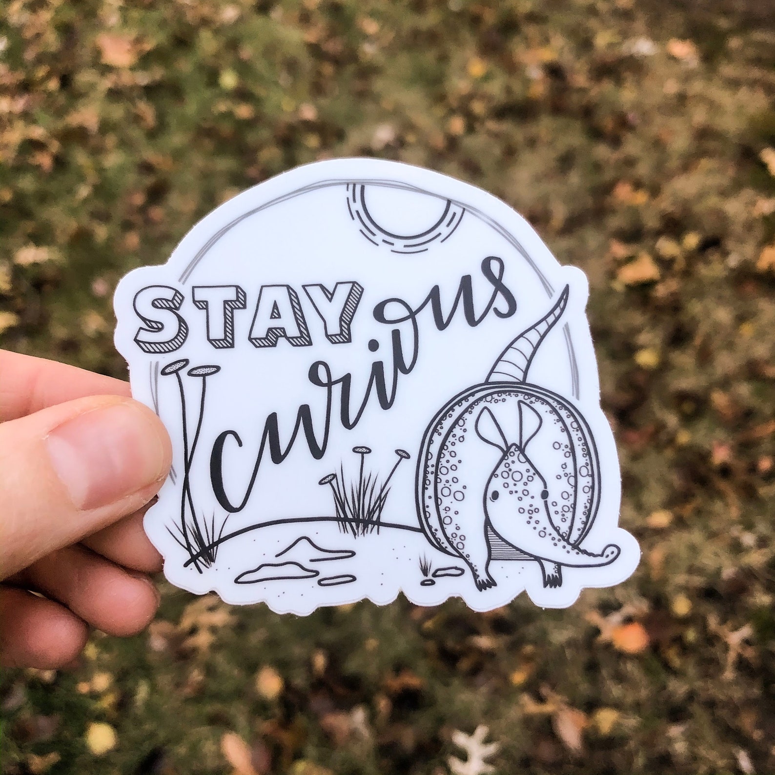 Stay Curious / Vinyl Sticker / Inspirational Quote / Laptop Sticker ...