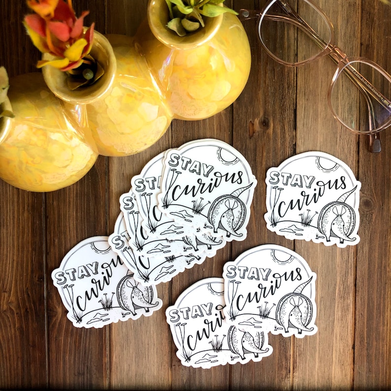 Stay Curious / Vinyl Sticker / Inspirational Quote / Laptop Sticker ...