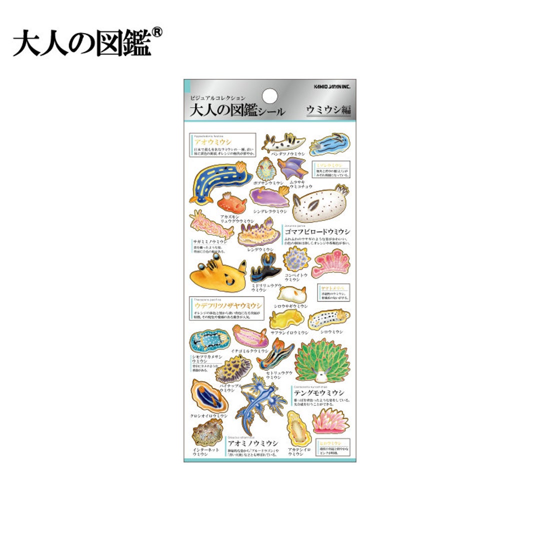 Kamio Japan Visual Collection Gold Foil Sticker Series Sea Slug - Etsy