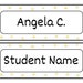 Cute Classroom Editable Name Tag Template 5 Different Styles Printable ...