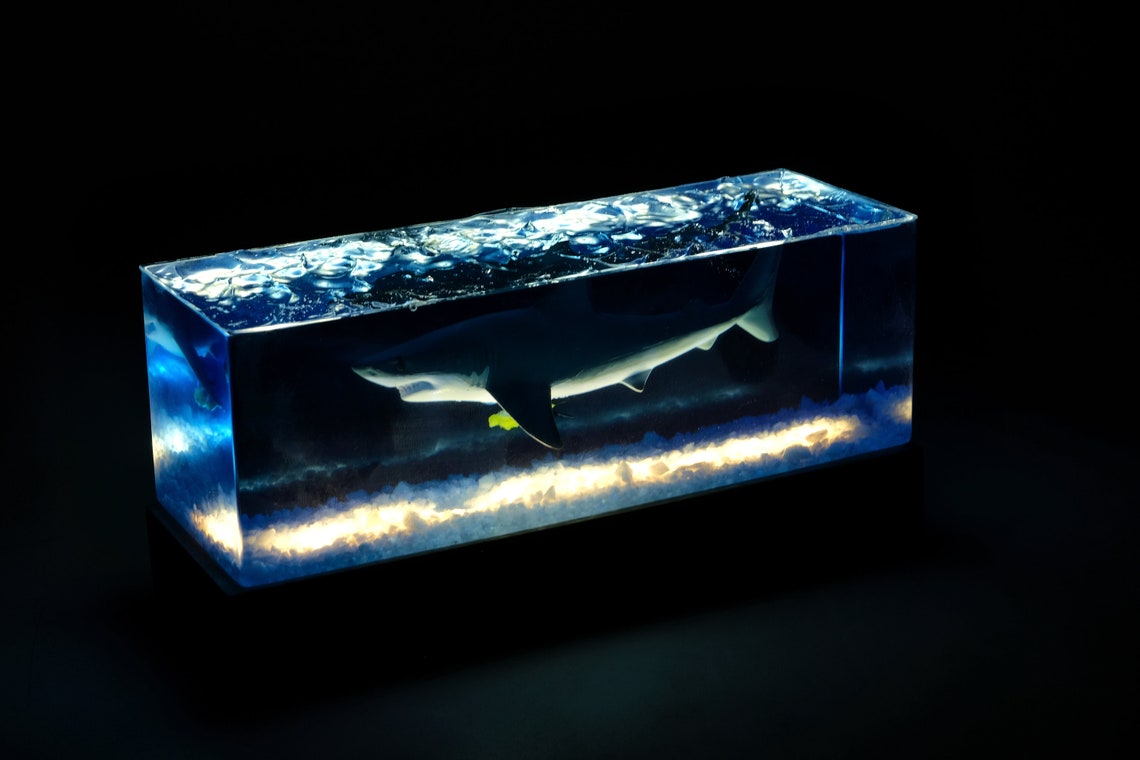 Transparent Resin Marine Life Creative Gift Ornament - Etsy