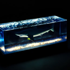 Transparent Resin Marine Life Creative Gift Ornament - Etsy