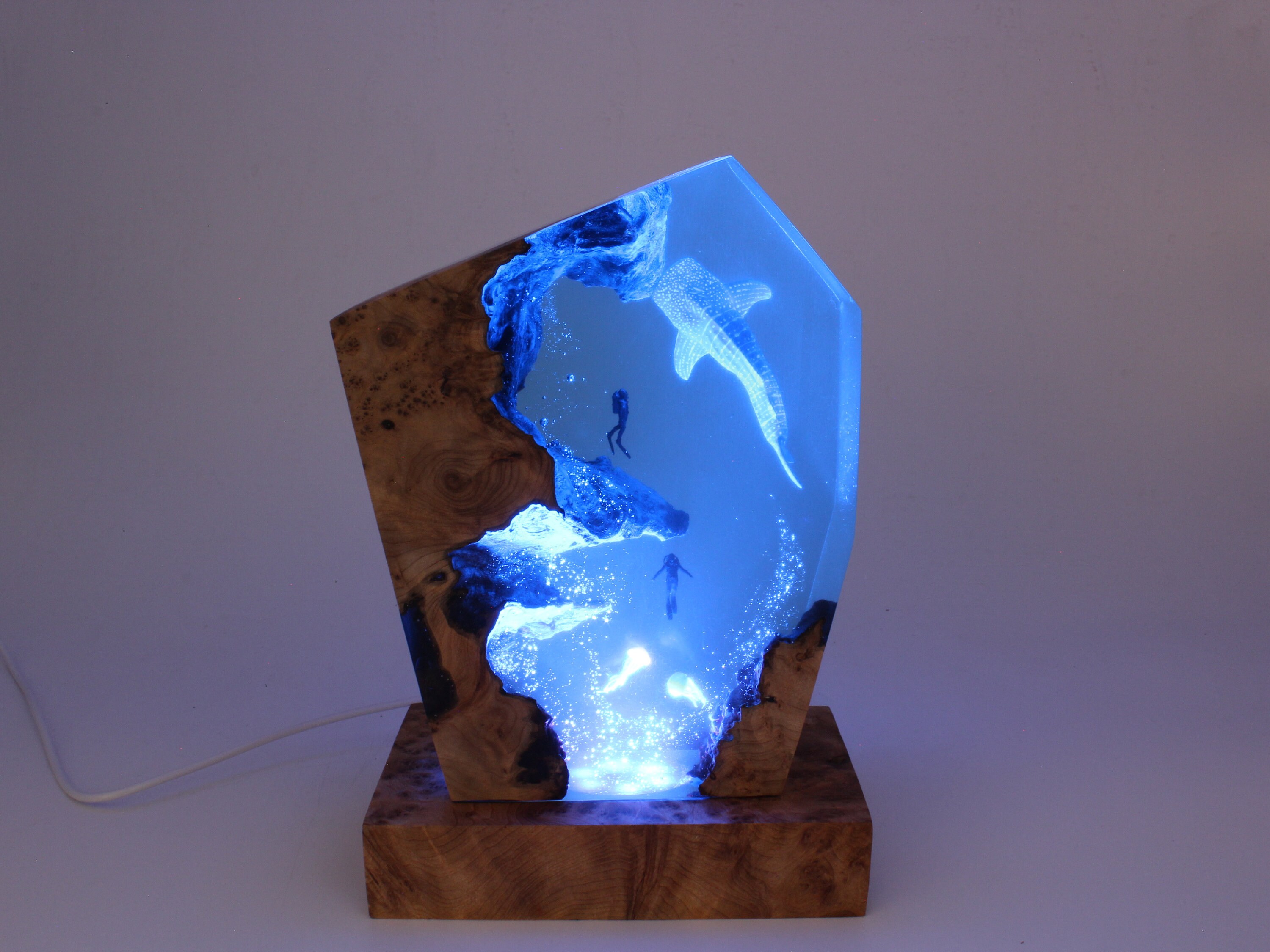 Ocean Whale Shark Resin Night Light Handmade Wooden Crafts | Etsy