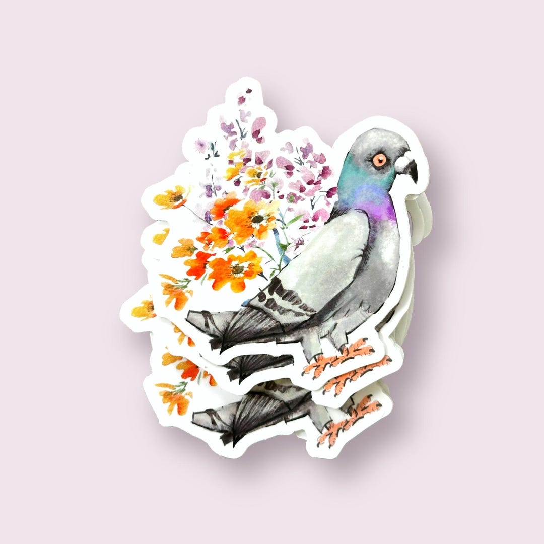 Pigeon Stickers | 3x3 In - Etsy