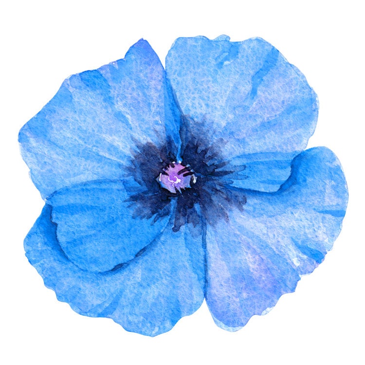 Color Sorting File Folder Printable - Etsy