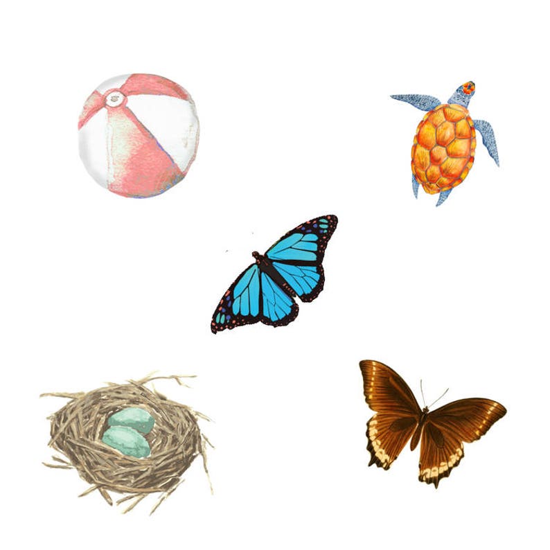 Color Sorting File Folder Printable - Etsy