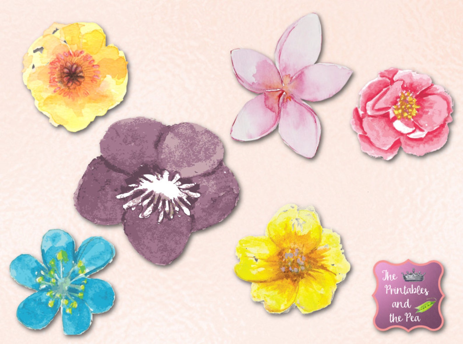 Flower & Butterfly Matching File Folder - Etsy