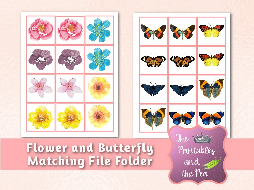 Flower & Butterfly Matching File Folder - Etsy