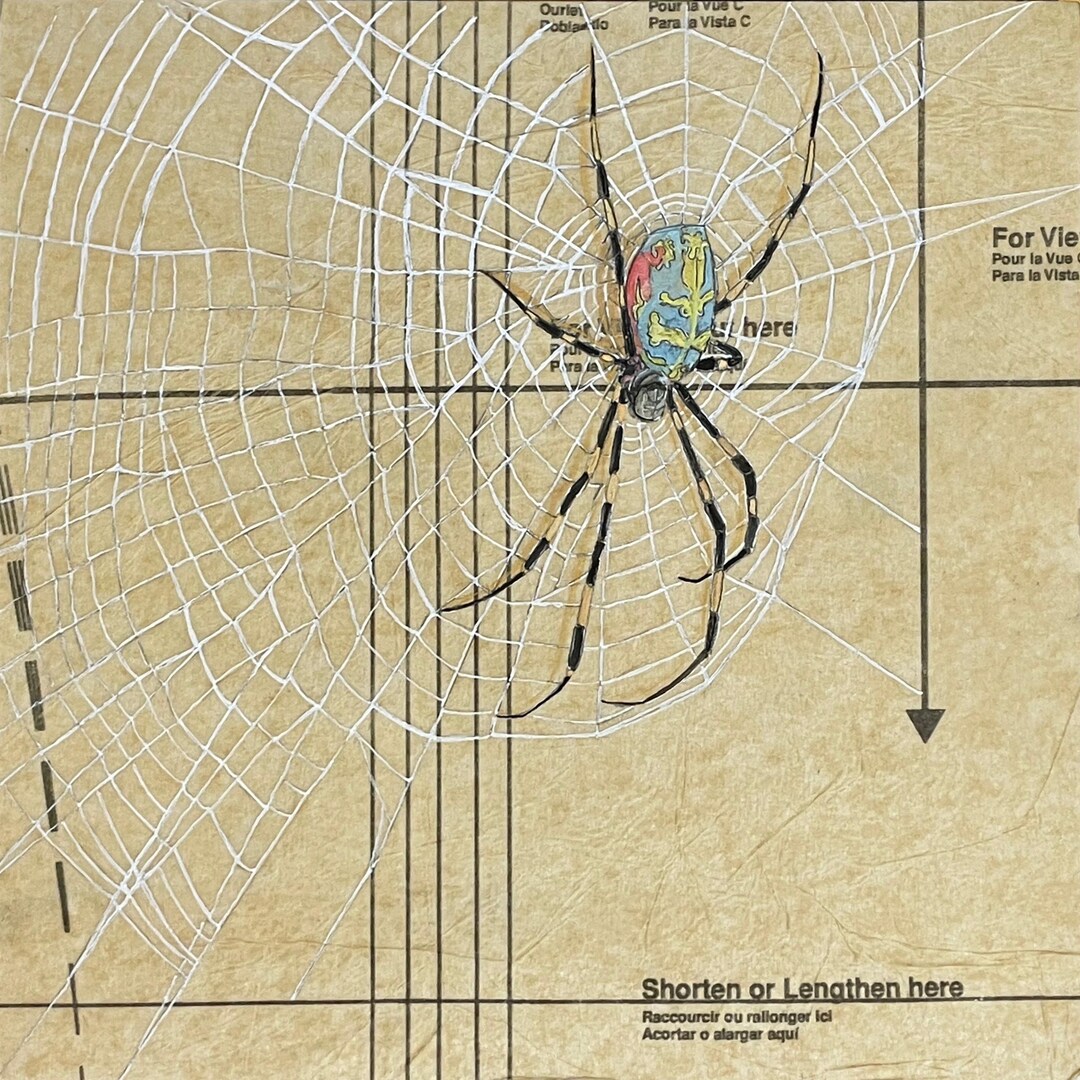 Joro Spider Orb Weaver Watercolor on Pattern Paper Spirit Animal Mini ...