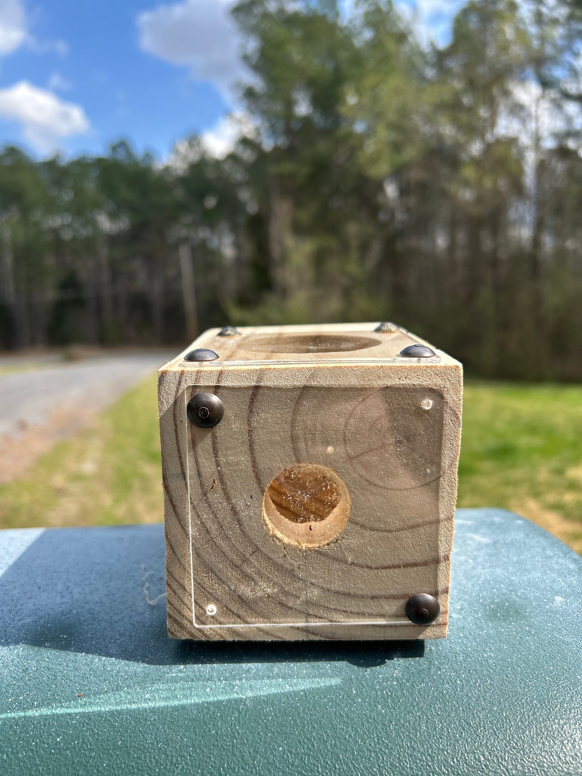 Carpenter Bee/ Wood / Boring Bee Trap - Etsy