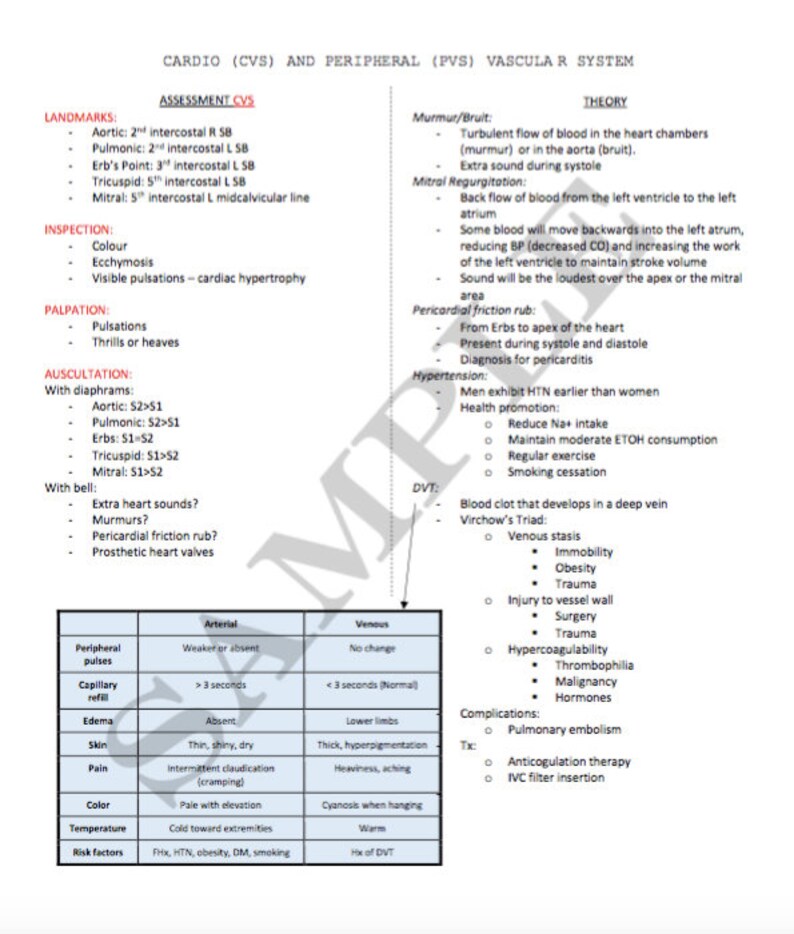 Health Assessment Notes - Etsy