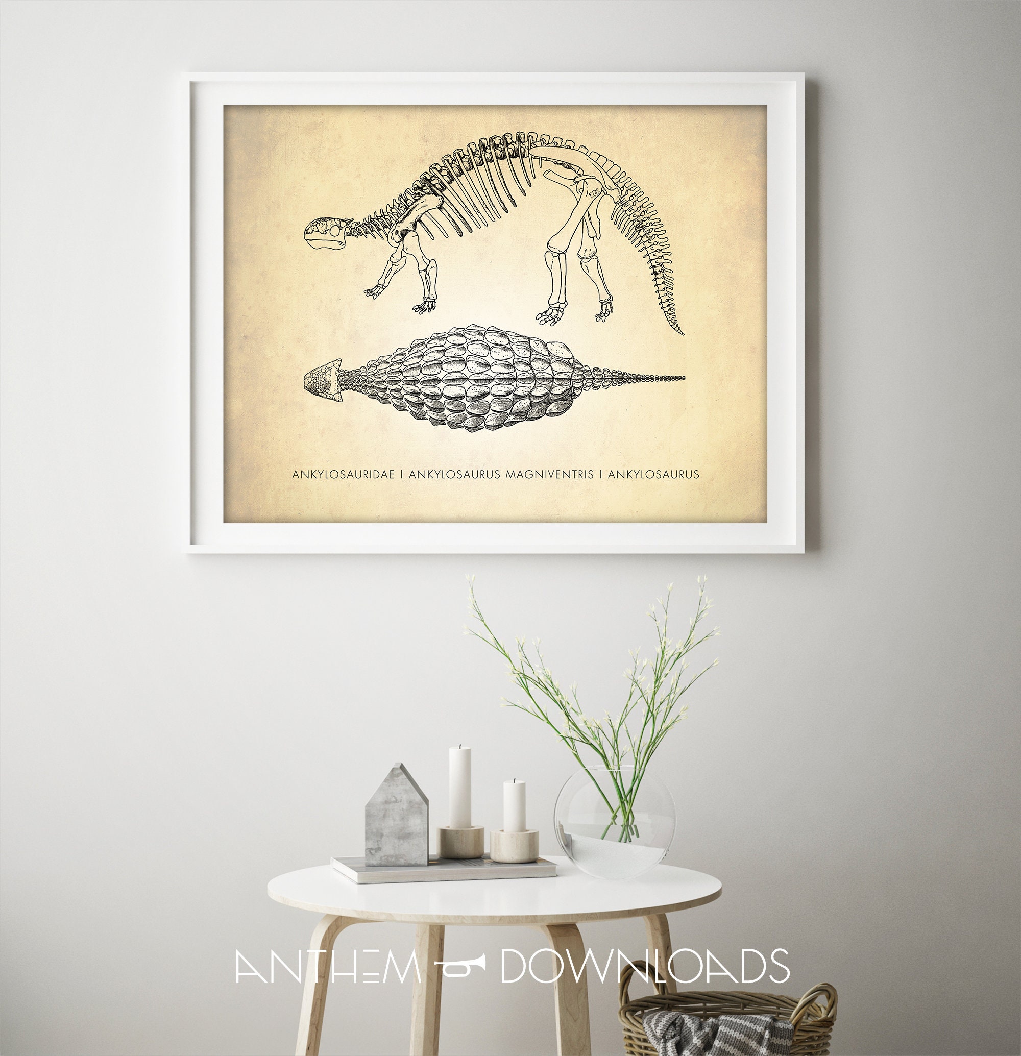 Ankylosaurus Art Print - Dinosaur Poster - Natural History Chart ...