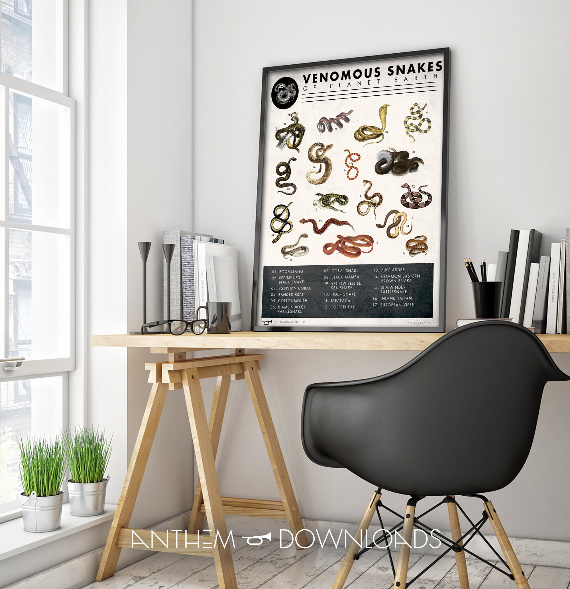 Snake Chart - Venomous Snakes of Planet Earth - Natural History Poster ...