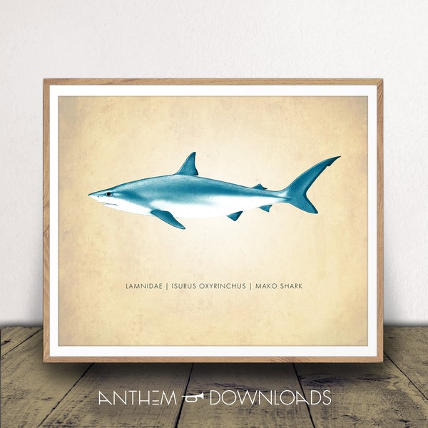 Mako Shark - Etsy