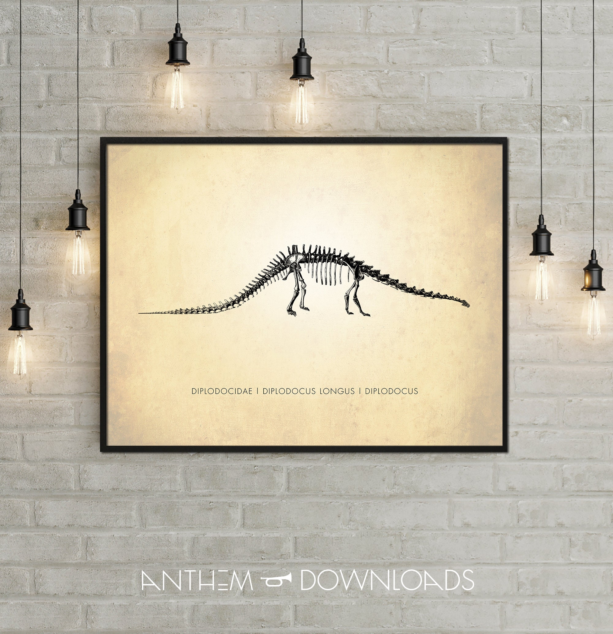 Diplodocus Art Print - Dinosaur Poster - Natural History Chart ...