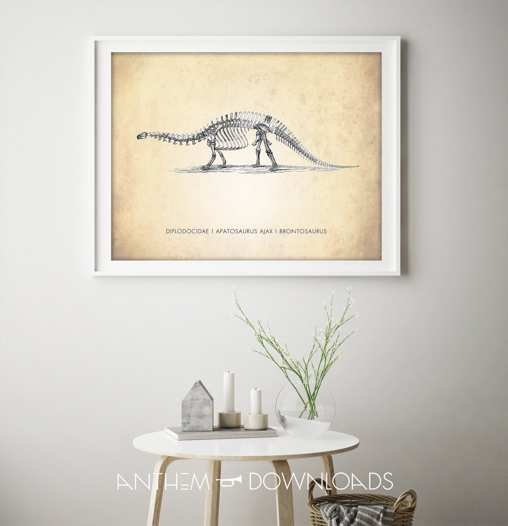 Brontosaurus Art Print Dinosaur Poster Natural History Chart Classroom ...